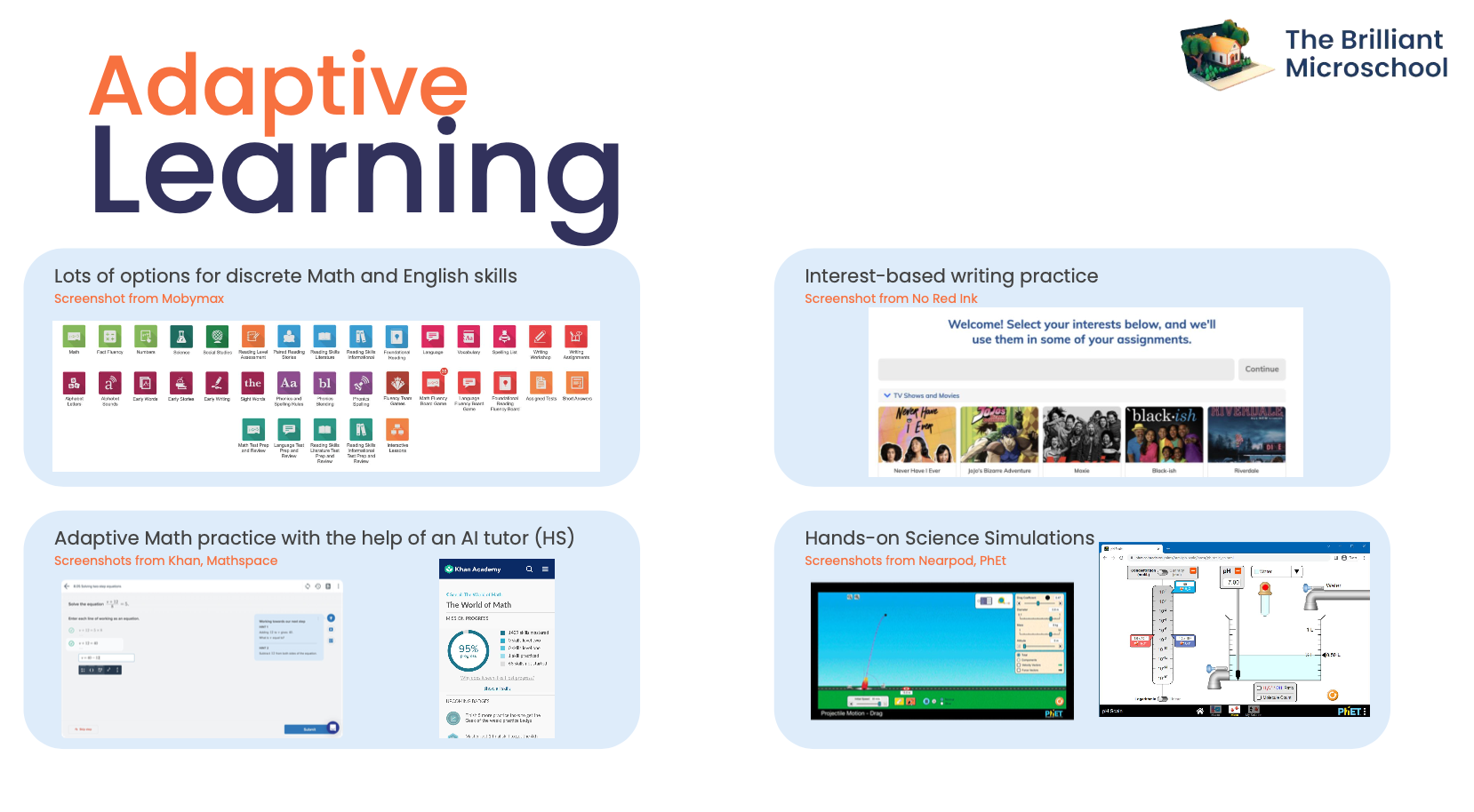 The BMS Curriculum Philosophy — Brilliant Microschools